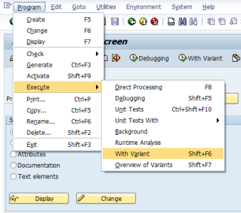 ABAP – Using dynamic variables in program selection screen variants | Spider's web